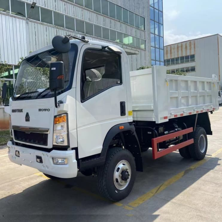 HOWO 4X2 3T 5T Dump Tipper Cargo Truck from China manufacturer ...